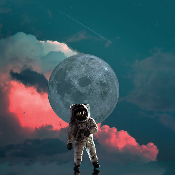 What is PRP, OPRP, and CCP in food safety – Space Food Club